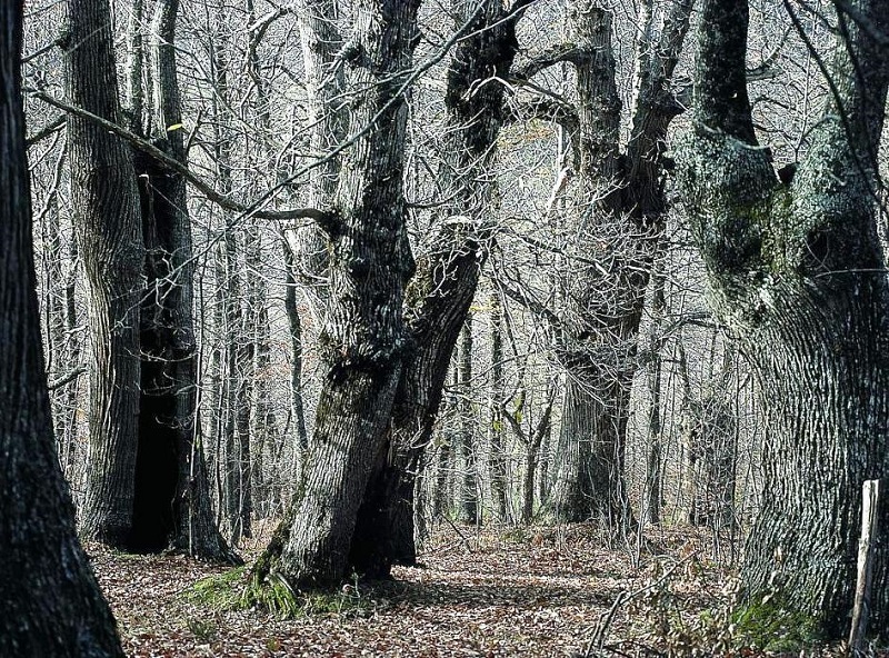 Turania – Borghi e Città –VisitLazio