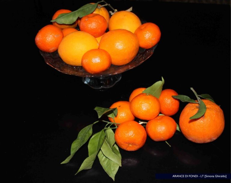 Fondi – Borghi e Città –VisitLazio