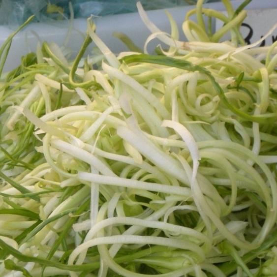 Le puntarelle – Enogastronomia –VisitLazio