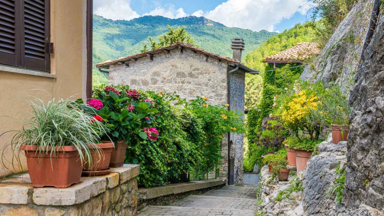 Una gita a Percile tra lagustelli e ramiccia – VisitLazio