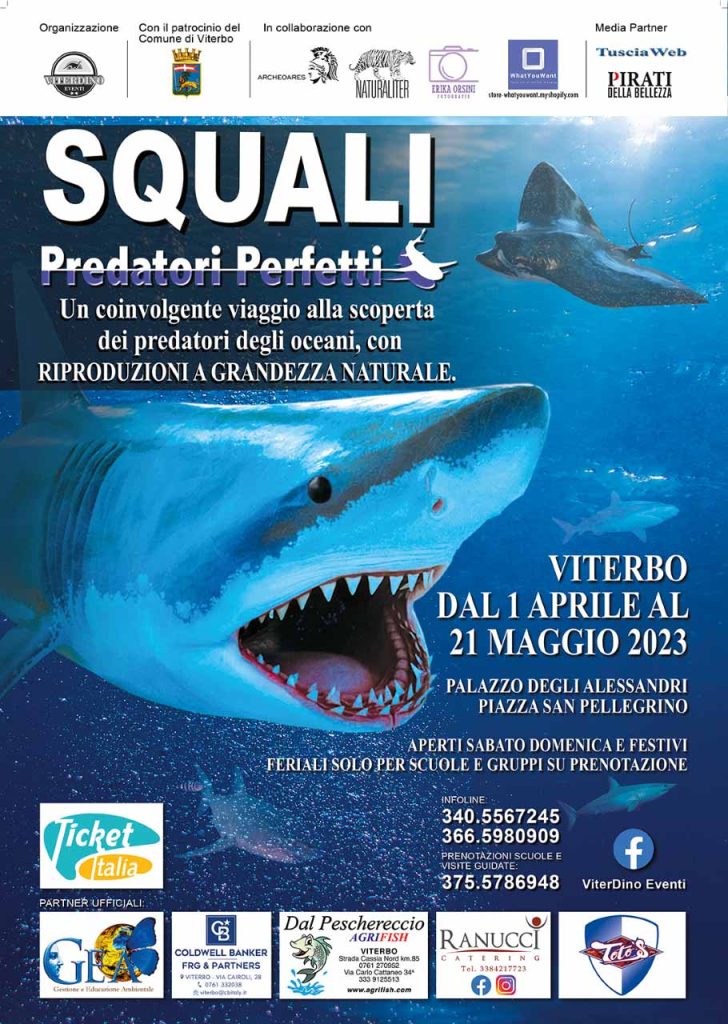 “Squali Predatori Perfetti” in mostra a Viterbo – VisitLazio
