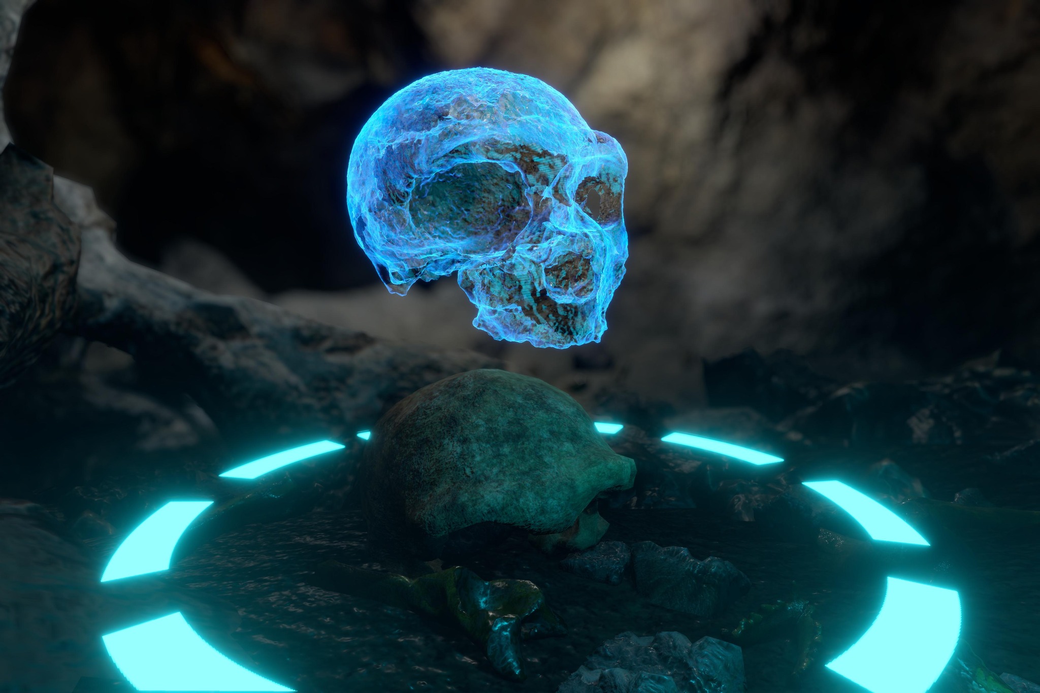 Virtual tour nella Grotta Guattari del Circeo – VisitLazio