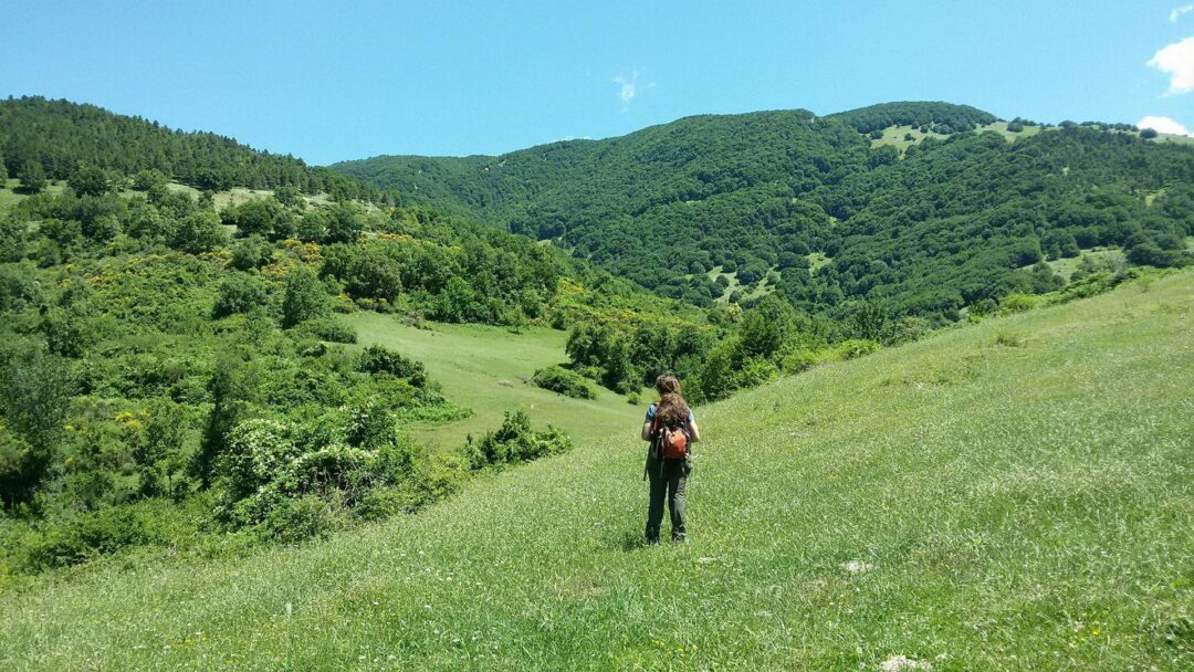Parco Nazionale d’Abruzzo, Lazio e Molise – VisitLazio