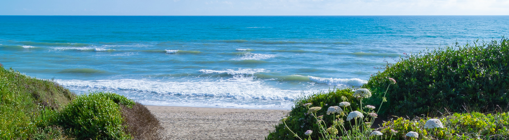 Spiaggia di Capocotta – Mare e Spiagge –VisitLazio
