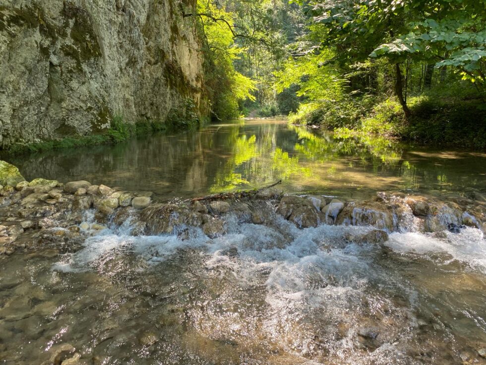 Riserva Regionale Nazzano Tevere-Farfa –VisitLazio