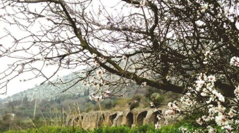 Sezze – Borghi e Città –VisitLazio