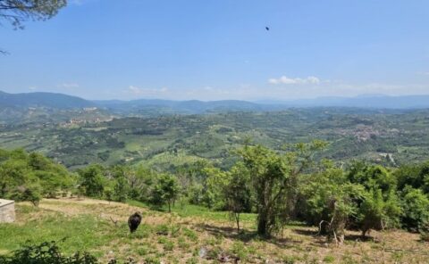 Fara in Sabina – Borghi e Città –VisitLazio