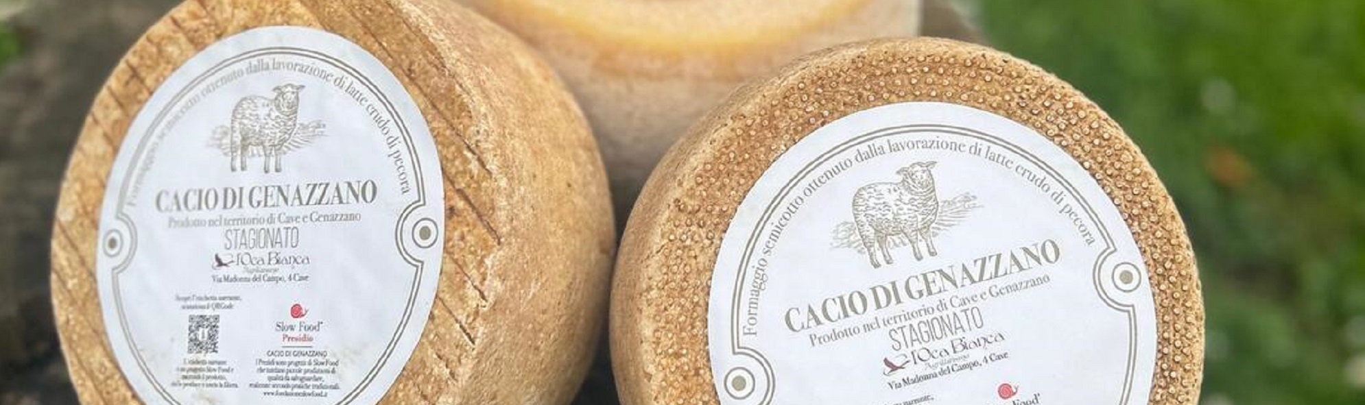 Il Cacio di Genazzano Presidio Slow Food – VisitLazio