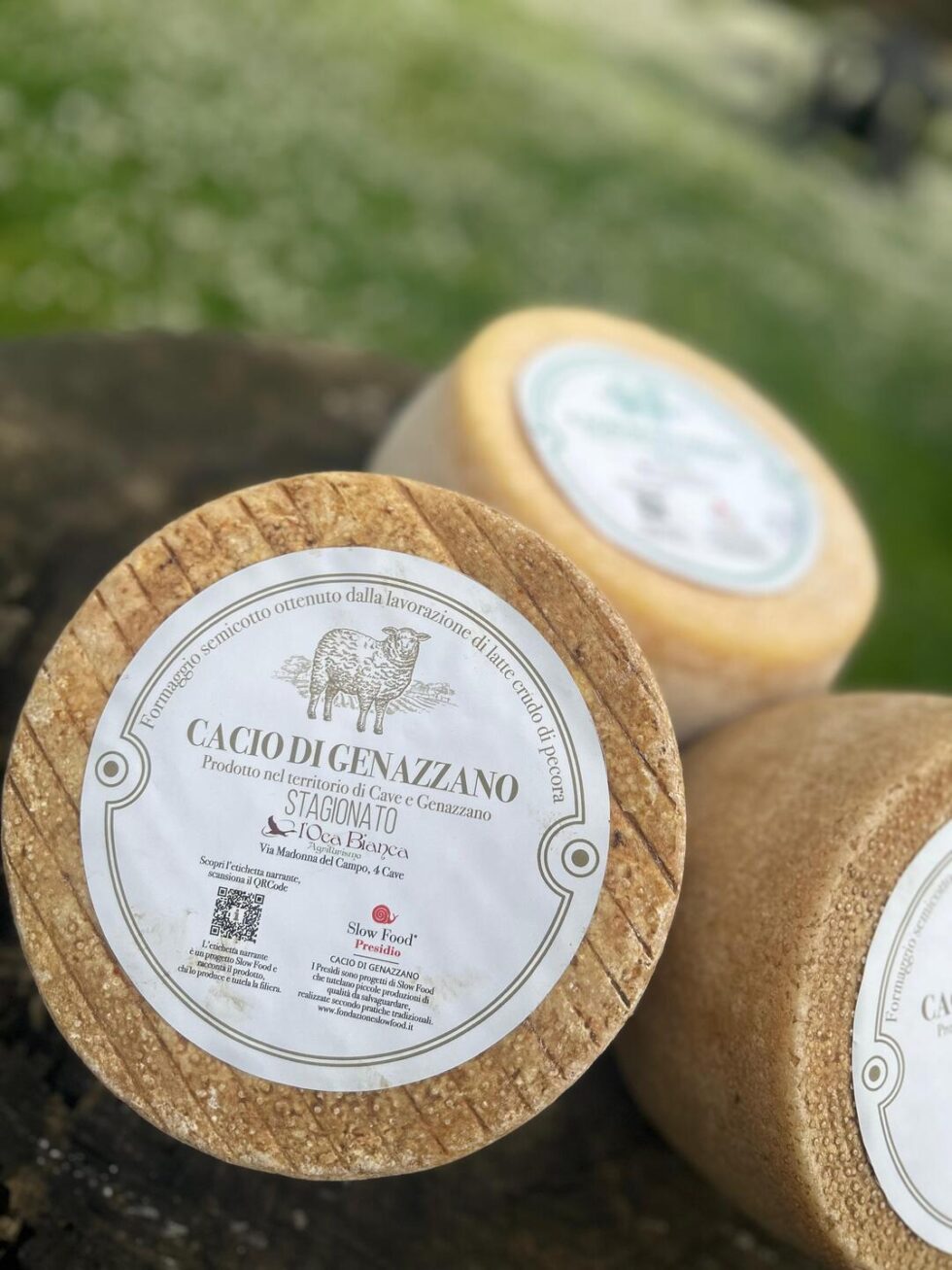 Il Cacio di Genazzano Presidio Slow Food – VisitLazio