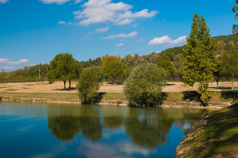 Il fiume Tevere, tra leggenda e realtà –VisitLazio